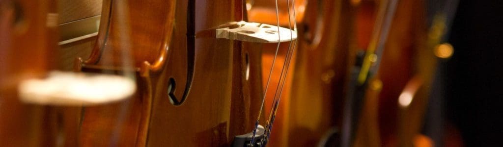 The White House String Shoppe | Fine Orchestral Instruments